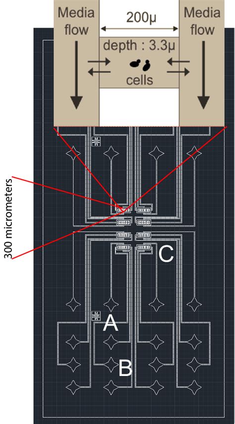 The 8 Chambers Microfluidic Chipset A Flow Input And Output B