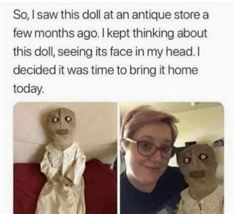 A Female Omothymus Spider Found In Malaysia I Will Never Go To Malaysia E V E R Rnope