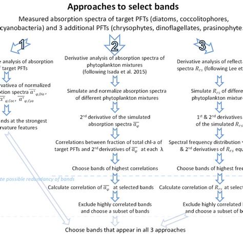 flowchart showing the inversion performed with giop download