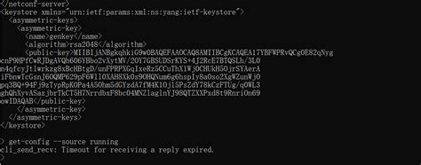 Netopeer2 Server Segmentation Fault · Issue 572 · Cesnetnetopeer2