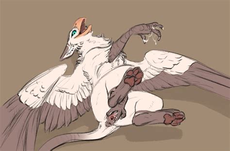 Rule 34 Anus Avian Beak Bodily Fluids Brown Body Brown Feathers Chest