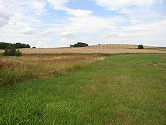 Categoryna Podlesích Wikimedia Commons