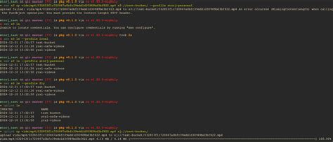Cannot Upload File With Aws Cli Troubleshooting Storj Community