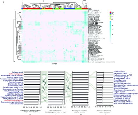 Sars Cov 2 And Microbe Association Analysis A Heatmap Of The Most
