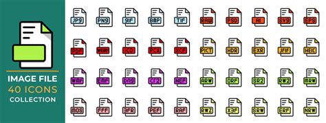 Set Icon File Type Flat Style Design Format Data Extension Icons Collection Vector