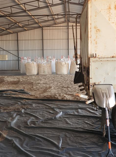 Premier Digit Grass Seed At Gulgong Nsw Gulgong Nsw