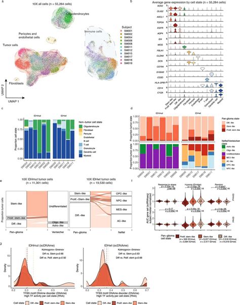 Pan Glioma Cell State Assignment And Characteristics A Umap