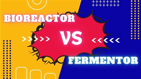 Difference Between Bioreactor And Fermentor Explained In Detail