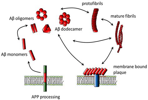 The Role Of Lipid Environment In Ganglioside Gm1 Induced Amyloid β Aggregation