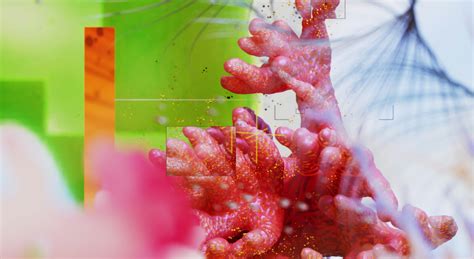 Как сделать Exe файл из кода на Python Tproger