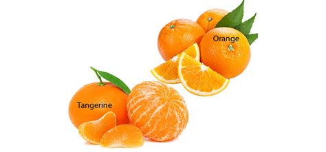 Difference Between Mandarins And Tangerines Jasrapid