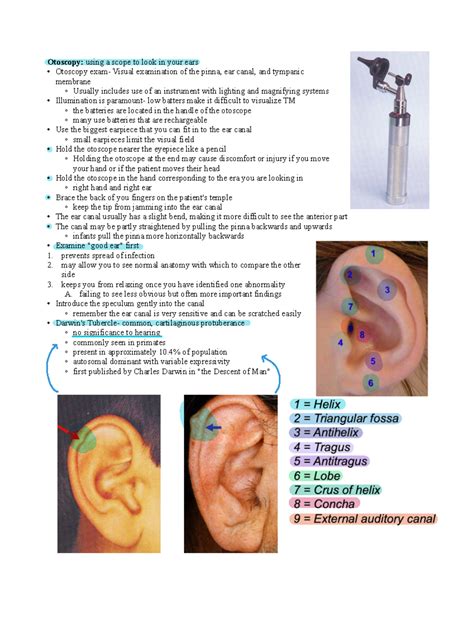 Normal Otoscopy Lecture Notes Otoscopy Using A Scope To Look In