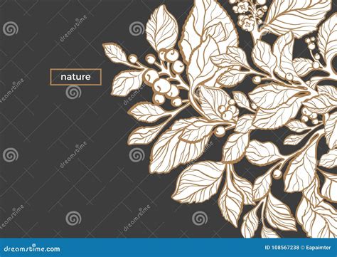 Vector Template Tropic Design Stock Vector Illustration Of Gold