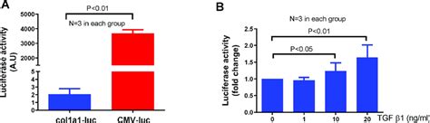 Comparison Of Col1a1 And Cmv Promoters Regulation Of Downstream Gene