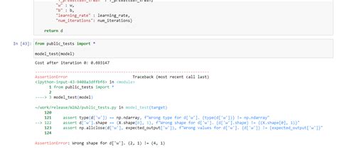 Dls Course 1week 2 Assignment 2 Error While Executing Model Neural