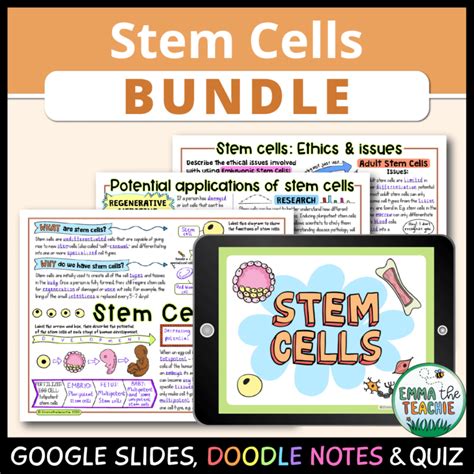 Stem Cells Doodle Notes Emmatheteachie Stem Cells Doodle Notes Emmatheteachie