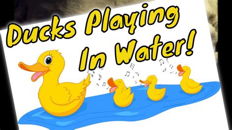 High Quality Ducks Playin In Water Audio Edit Free Sound