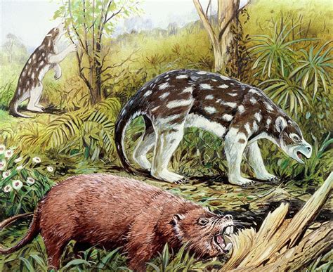 Ectoganus And Pantolambda Photograph By Science Photo Library Pixels