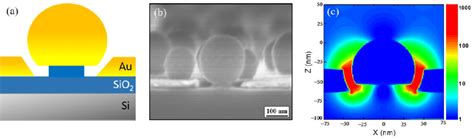 A Schematic Illustration And B Sem Image Of An Au Nanogap Sample