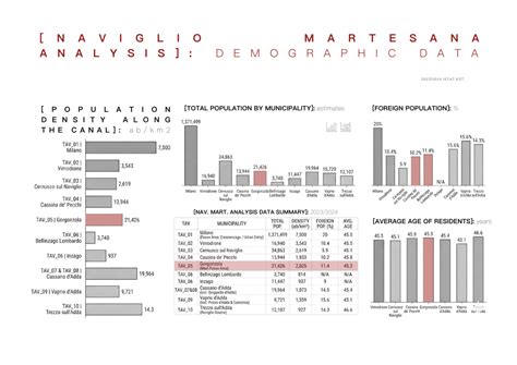 Demographic Data Analysis Population Estimates And Urban Insights