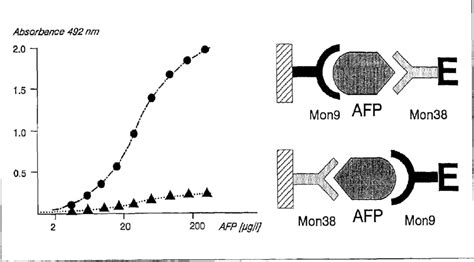 Dose Response Curves In An Enzyme Immunometric Assay For Afp And