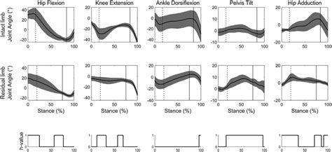 Joint Angles In The Intact And Residual Limb Of Transfemoral Amputees Download Scientific
