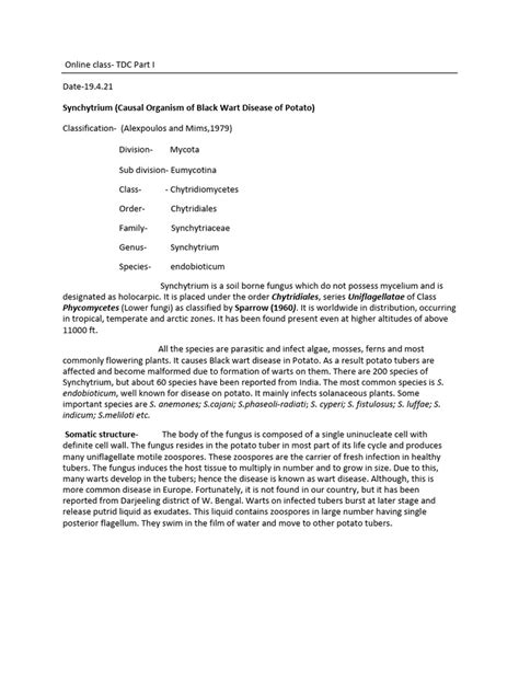 Ppt On Synchytrium Pdf Fungus Organisms