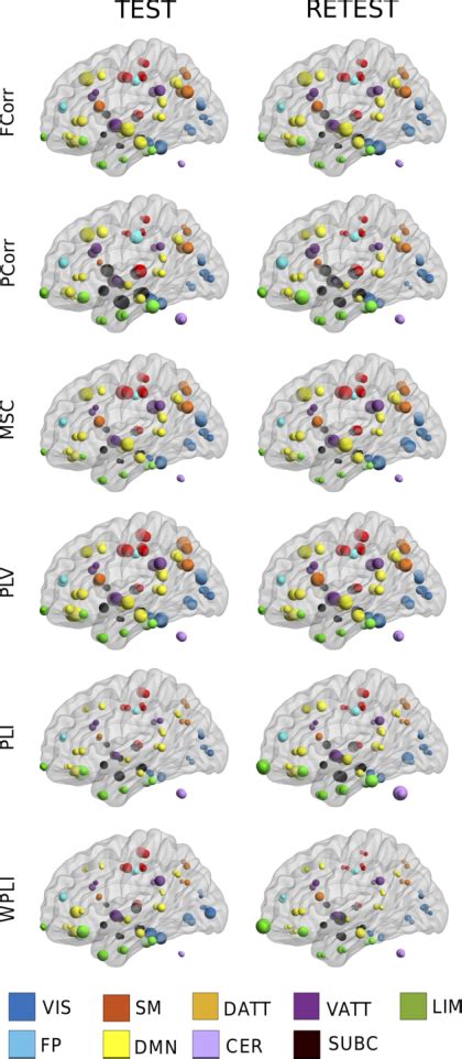 figure 1 from test retest reliability of graph metrics in functional