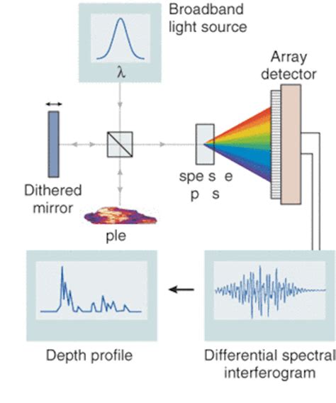 Differential Spectral Interferometry May Boost Dynamic Range Of Oct Laser Focus World