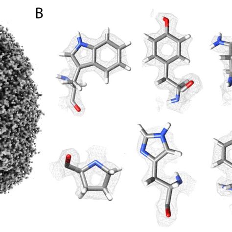 High Resolution Apoferritin Reconstruction A Apoferritin Density At