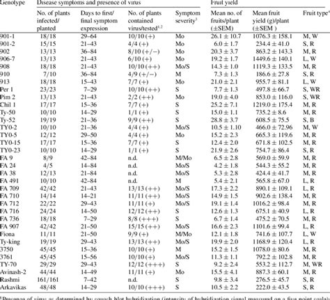 Tylcv Is Resistanttolerant Tomato Genotypes Tested For Tolcv Ban4 Download Table