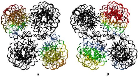 Color Coded Representation Of The Dynamics Of The Nucleosome Tetramer Download Scientific