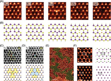 A Machine Perspective Of Atomic Defects In Scanning Transmission