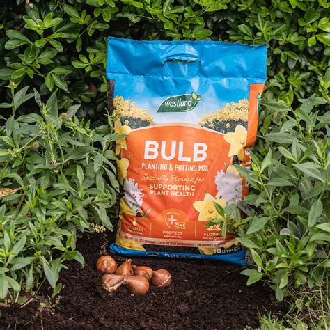 Westland Bulb Planting Compost 10l Wilko