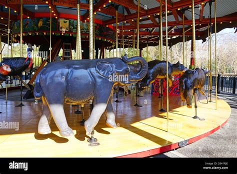Washington National Zoo Carousel