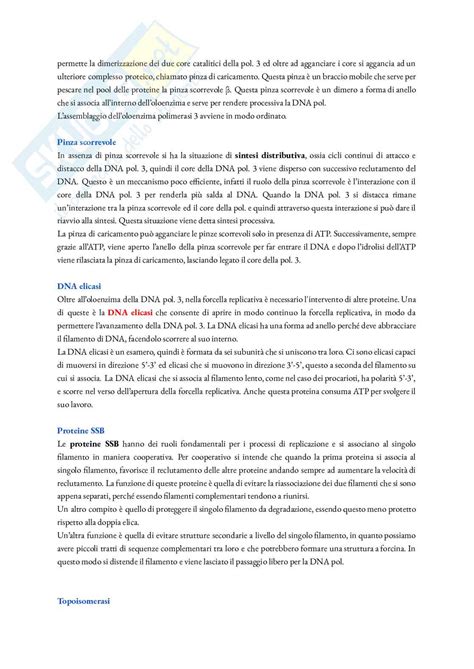 Replicazione Del Dna In Procarioti Ed Eucarioti