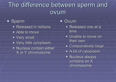 Different Between Sperm And Ovum