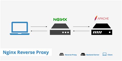optimizing nginx reverse proxy
