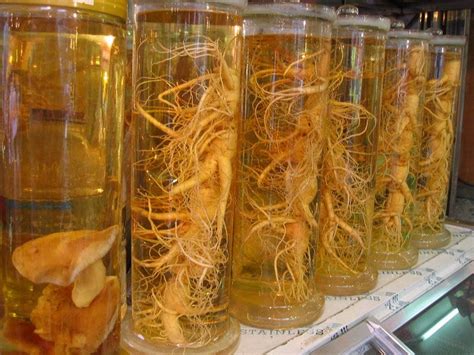 Para Qué Sirve El Ginseng Propiedades Beneficios Y Contraindicaciones Del Ginseng