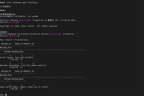 Rman在oracle19c环境中进行数据备份与恢复的详细步骤 Csdn博客