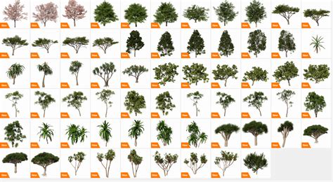 TREE ASSETS VOL 71 Enscape DatHouzz