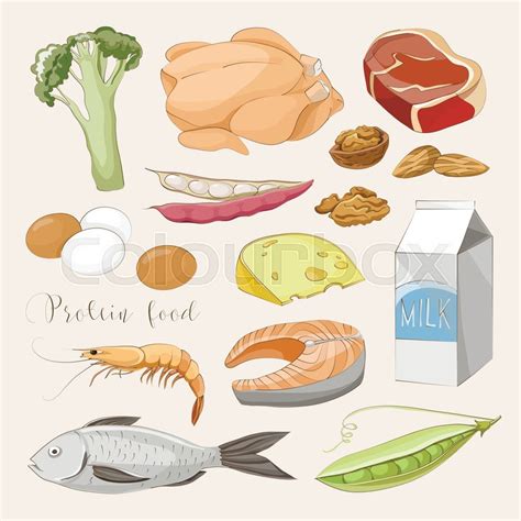 Protein Food Draw