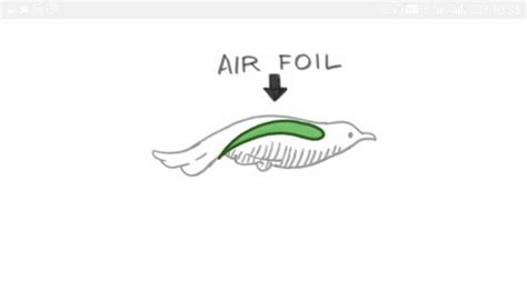 The Basic Shape Of An Airfoil 7 Download Scientific Diagram