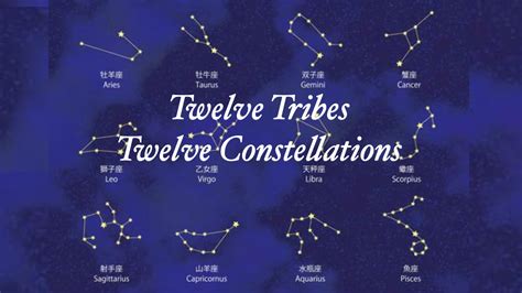 Zodiac Constellations Meaning 60 Photos