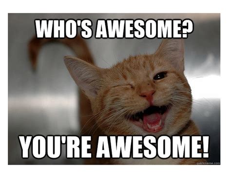 Youre Awesome Meme