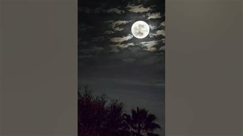 غالي الاثمان Youtube