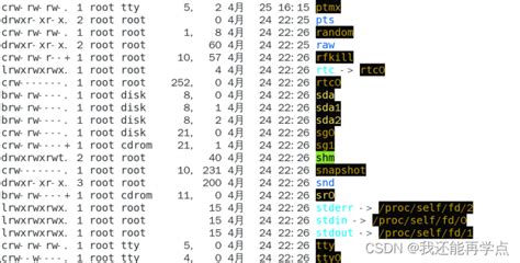 linux系统文件系统结构和目录管理，及其关键命令如何使用 linux改变文件结构 变成目录 csdn博客