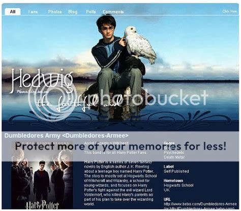 Phoenixskinz Bebo Skinz Harry And Hedwig