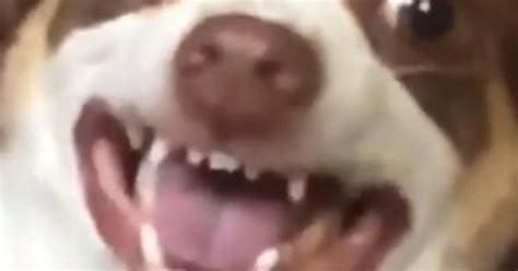 Mr Bubz Album On Imgur