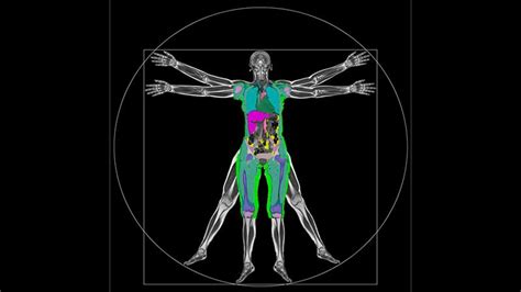 Uk Biobank A Large Scale Biomedical Database And Research Resource